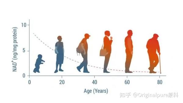 什么是ca-akg？它有什么作用？ - 知乎