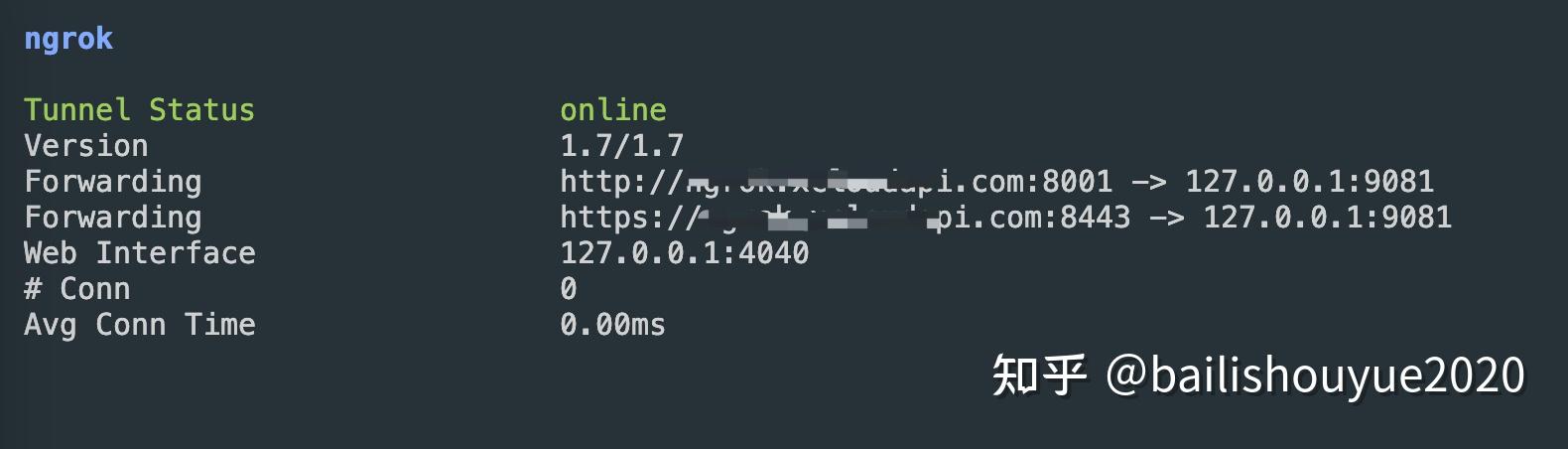 一文解惑ngrok为啥被称为内网穿透神器 - 知乎