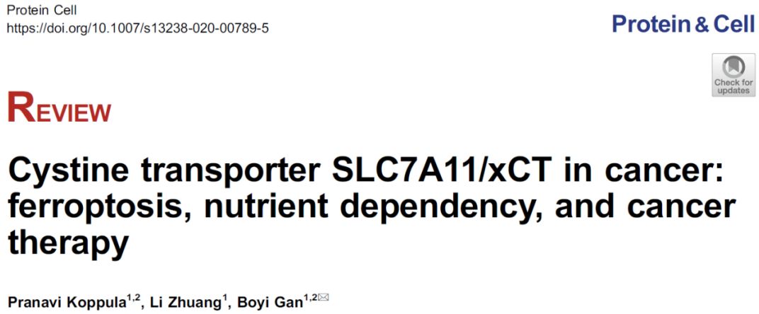 『珍藏版』综述 | SLC7A11/xCT在癌症中的作用——铁死亡，营养依赖，肿瘤治疗 - 知乎