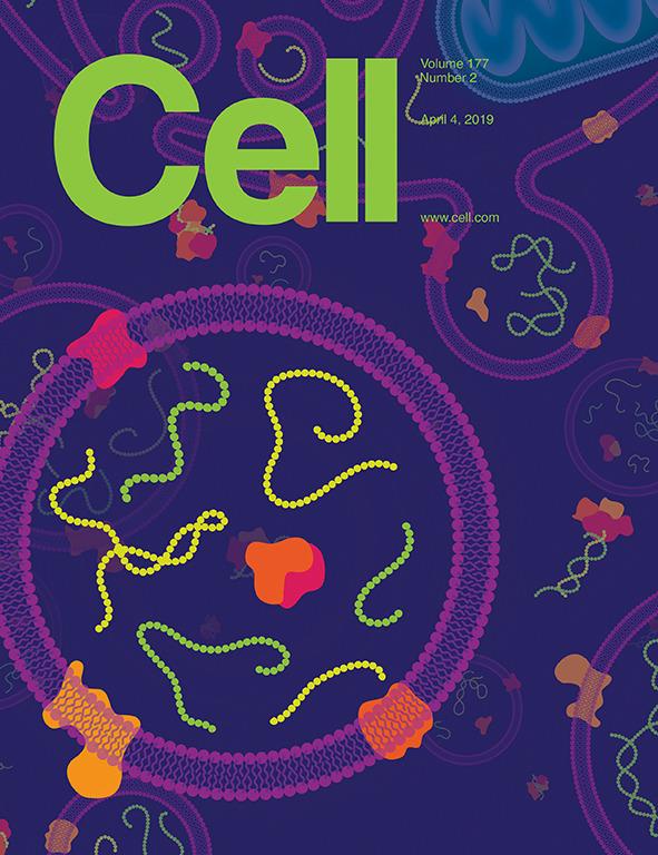 科学与艺术的结合！《CELL》100+张期刊封面鉴赏｜2019年篇 - 知乎
