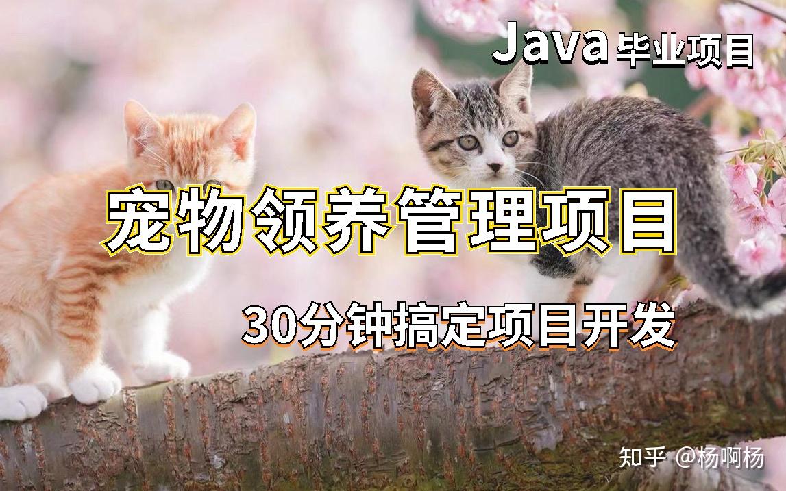 【宠物领养系统项目】（附源码） 知乎 