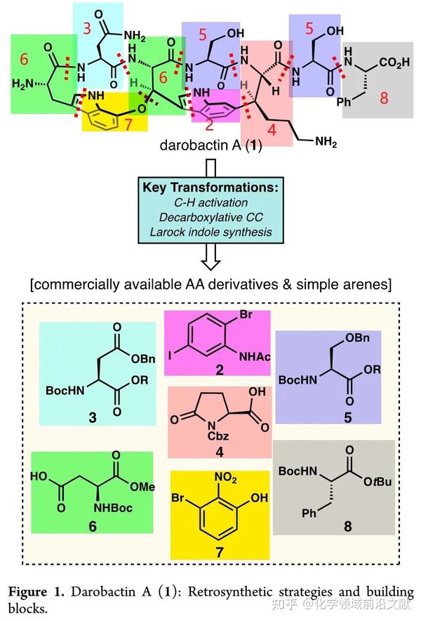抗生素Darobactin A全合成方法2：Baran组阻转异构选择性合成 - 知乎