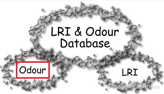 GC-MS专题 | 如何使用3大数据库查找挥发性物质的感官风味特征 - 知乎
