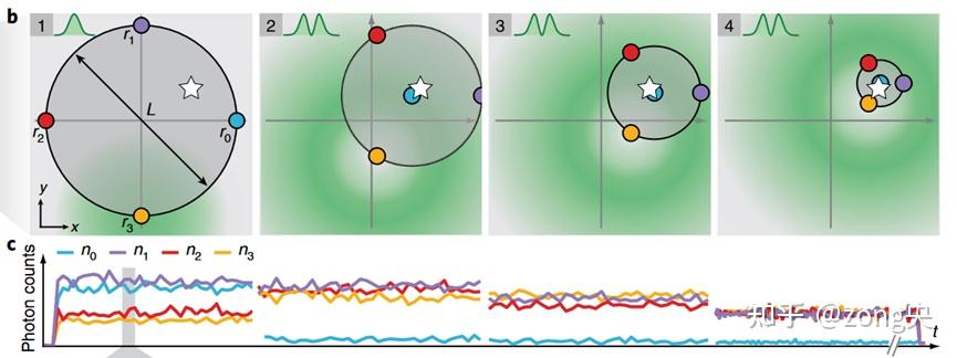 一文读懂多种超分辨成像方式（STED、STORM、PALM、PAINT、MINFLUX）的基本原理 - 知乎
