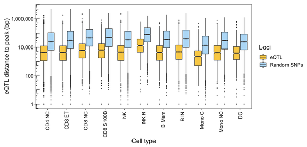 OneK1K——群体单细胞eQTL研究 - 知乎