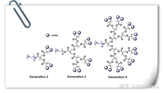 mPEG-Dendro Amine，mPEG-Dendro NH2，甲氧基-聚乙二醇树状-胺科研实验试剂供应 - 知乎