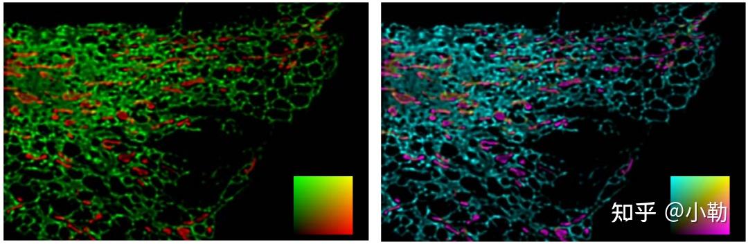 图像共定位——共现与相关性 - 知乎