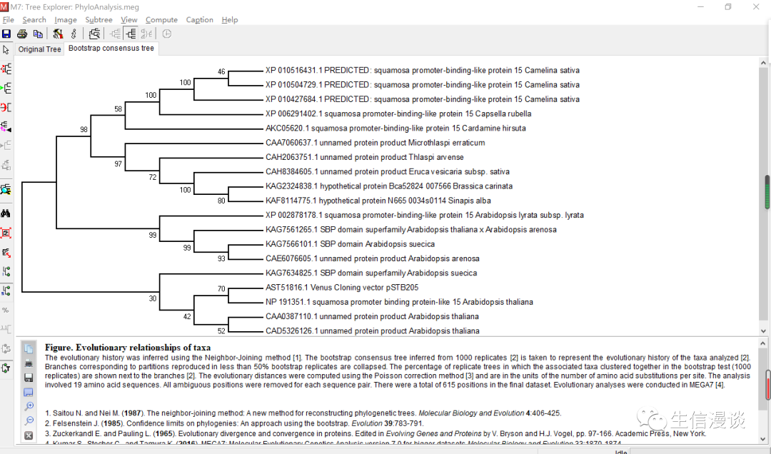 生信小白如何利用MEGA7构建系统进化树 - 知乎