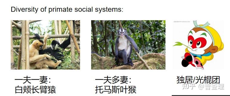 面对寒冷的团结与进化——Adaptations to a cold climate promoted social evolution in ...