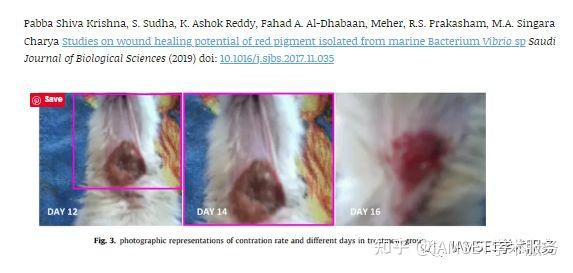 避雷！JCR Q1的SCIE期刊被「On hold」 - 知乎