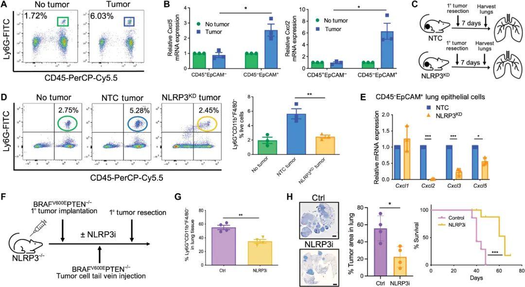 STM | 瘤内NLRP3-HSP70-TLR4轴在抗PD-1治疗期间驱动转移前生态位/肿瘤超进展 - 知乎