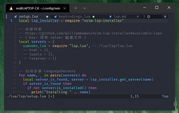 Neovim 内置 LSP 配置 (一)：基础配置 - 知乎