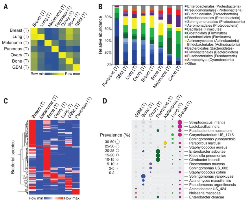 5R 16S测序检测 实现对肿瘤微生物等低生物量样本的深入研究 - 知乎