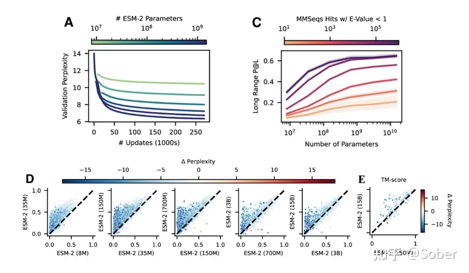 ESMFold：一种基于预训练语言模型的蛋白质结构预测方法 - 知乎