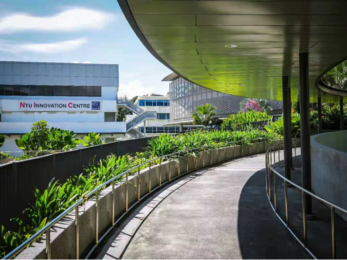 从NTU毕业，我同时收获阿里和字节offer - 知乎