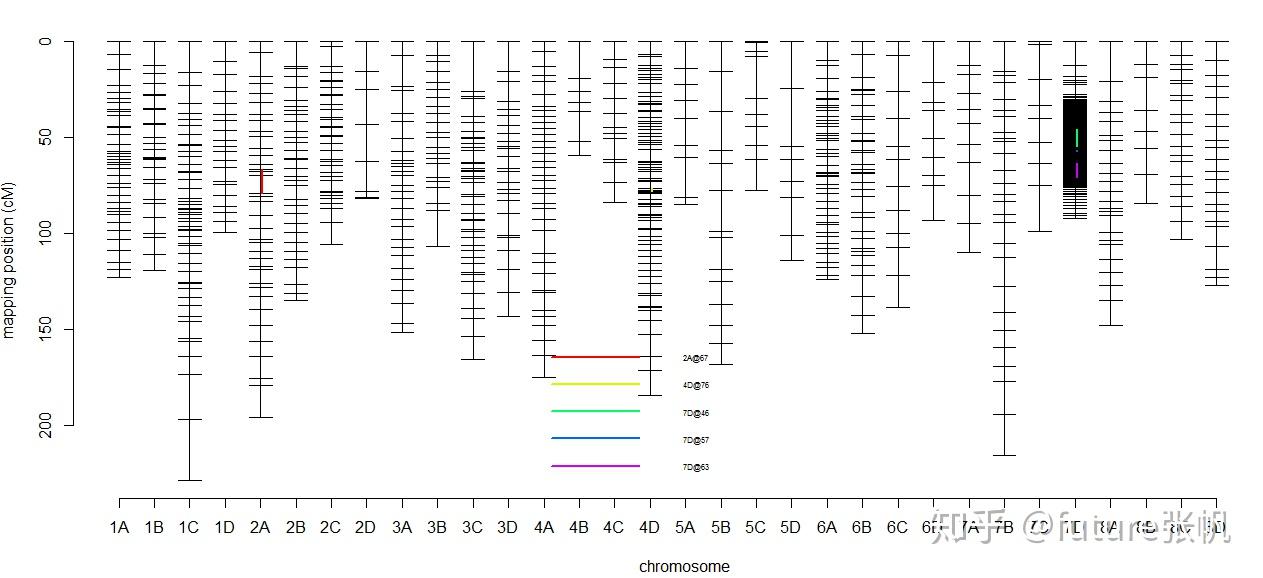 利用R/qtl 进行QTL定位分析 - 知乎