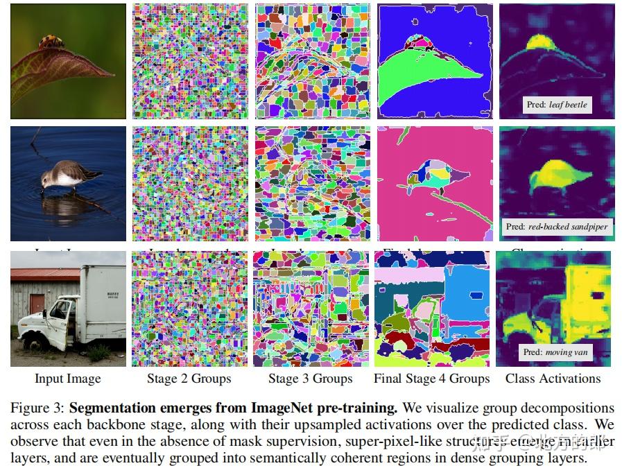 Nvidia发表SeNaTra：基于内容感知分组的原生分割架构——让视觉Transformer“天生”会分割 - 知乎