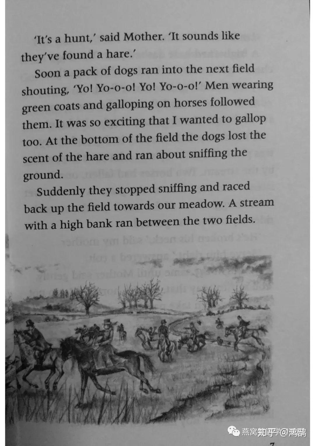 典范英语阅读Black Beauty阅读笔记Chapter 1 My First Home - 知乎