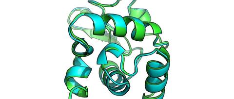 分享一些关于WSL2上部署AlphaFold2的心得 - 知乎