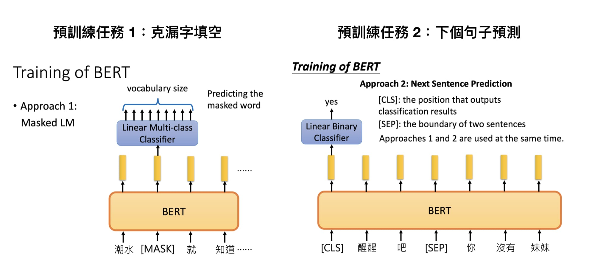 BERT原理及Pytorch代码实现 - 知乎