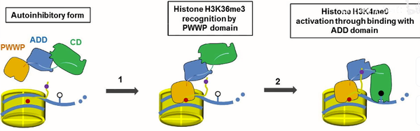 入门|表观遗传学 - 知乎