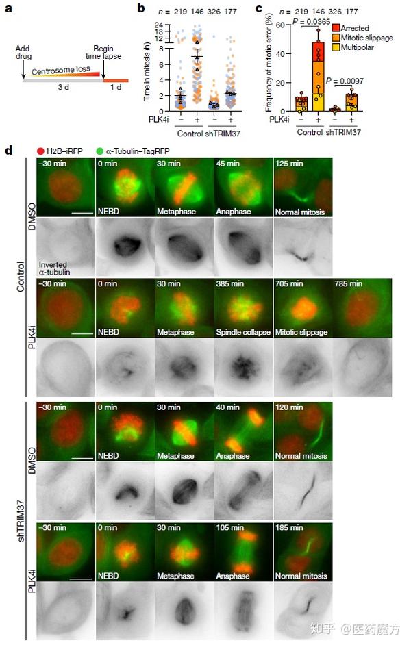 Nature：抗癌新疗法——PLK4抑制剂 - 知乎