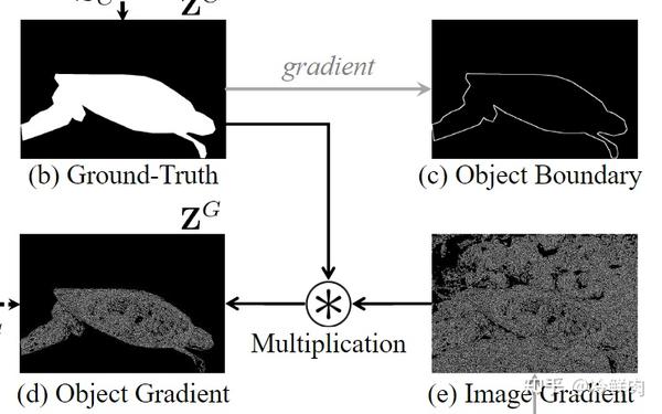 【DGNet】Deep Gradient Learning for Efficient Camouflaged Object Detection - 知乎