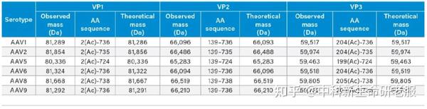 干货分享 | AAV衣壳表征 - 知乎