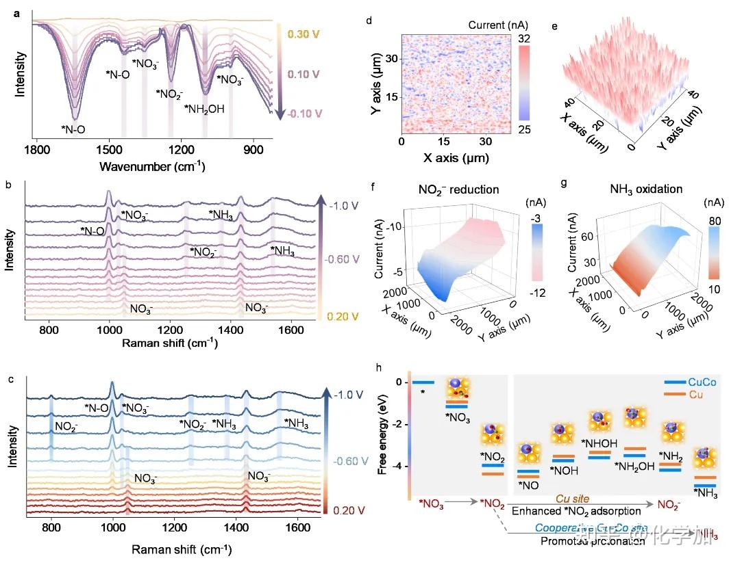浙大单冰Angew：有机p-n结光电极实现86%内量子效率光电催化合成氨 - 知乎
