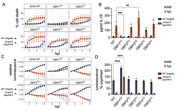 PNAS丨LPS 聚集蛋白 GBP1 和 GBP2 都足以增强体内和离体的 caspase-4 活化 - 知乎