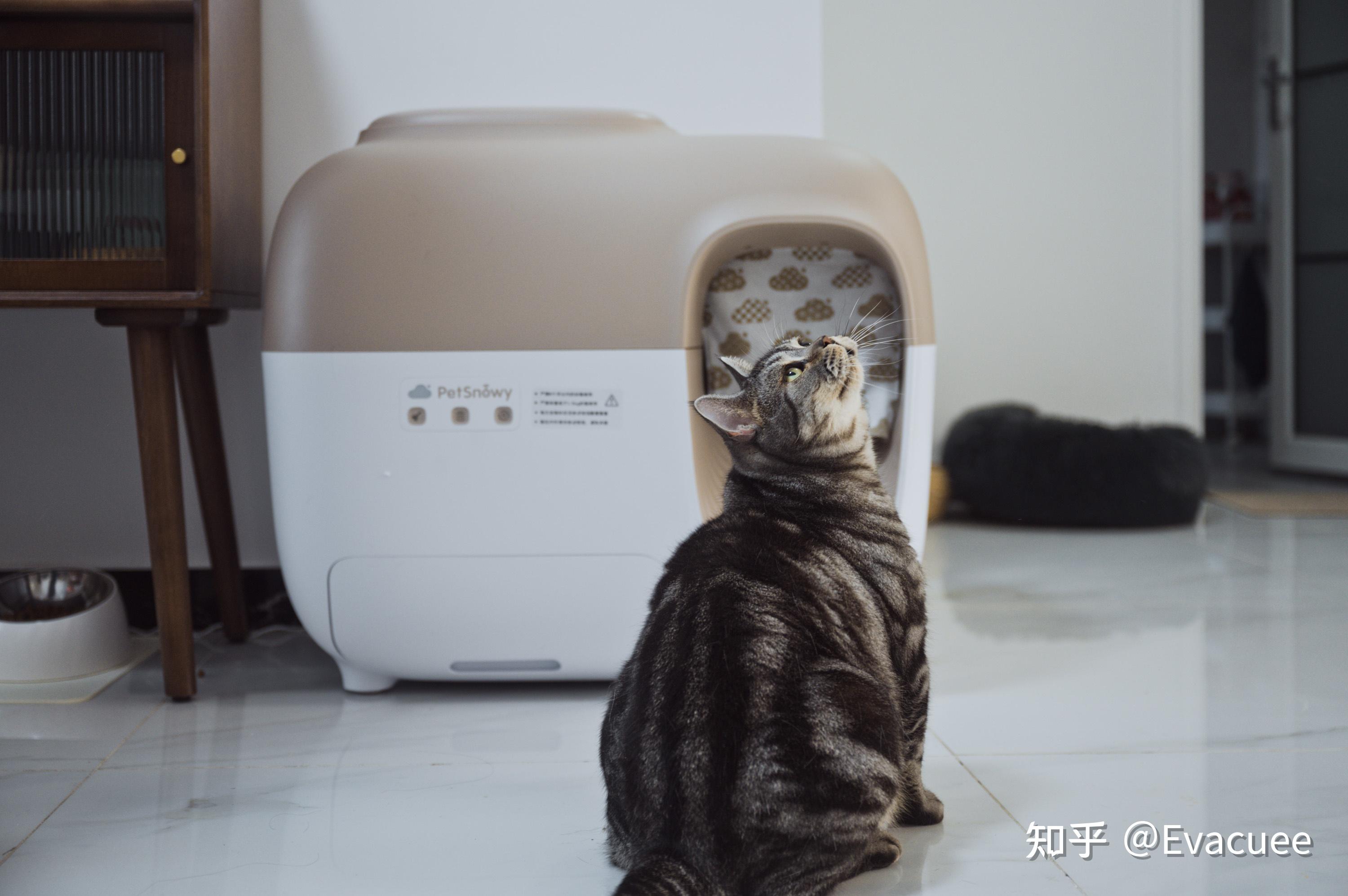 铲屎官即将失业!糯雪snow智能全自动猫砂盆分享 知乎