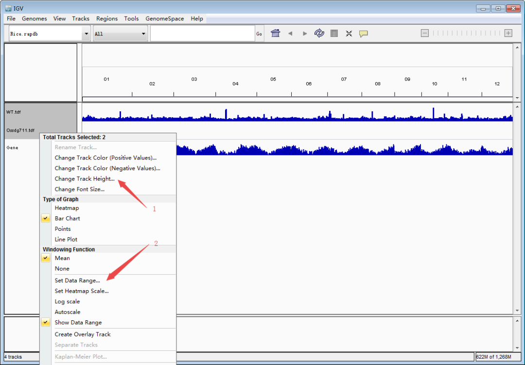 ChIP-seq/DAP-seq/ATAC-seq/CUT&Tag结果可视化-IGV使用攻略 - 知乎