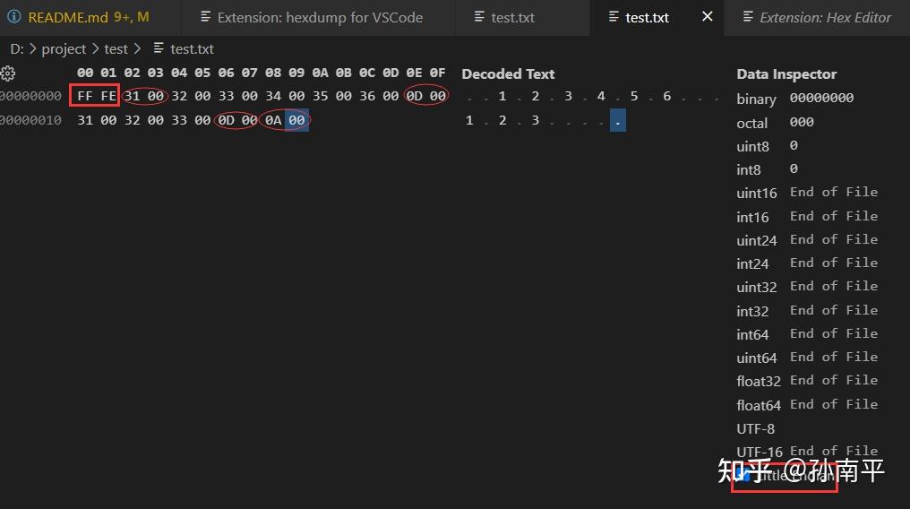 Hex Editor-VSCode插件使用 - 知乎