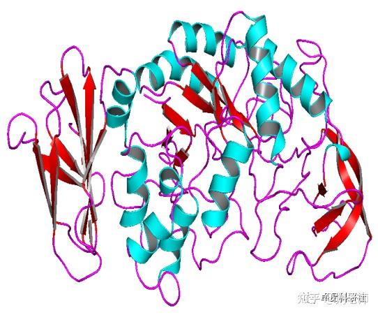 药物人必备科研技能！CADD计算机辅助药物设计联合AIDD人工智能药物发现+深度学习基因组学 - 知乎