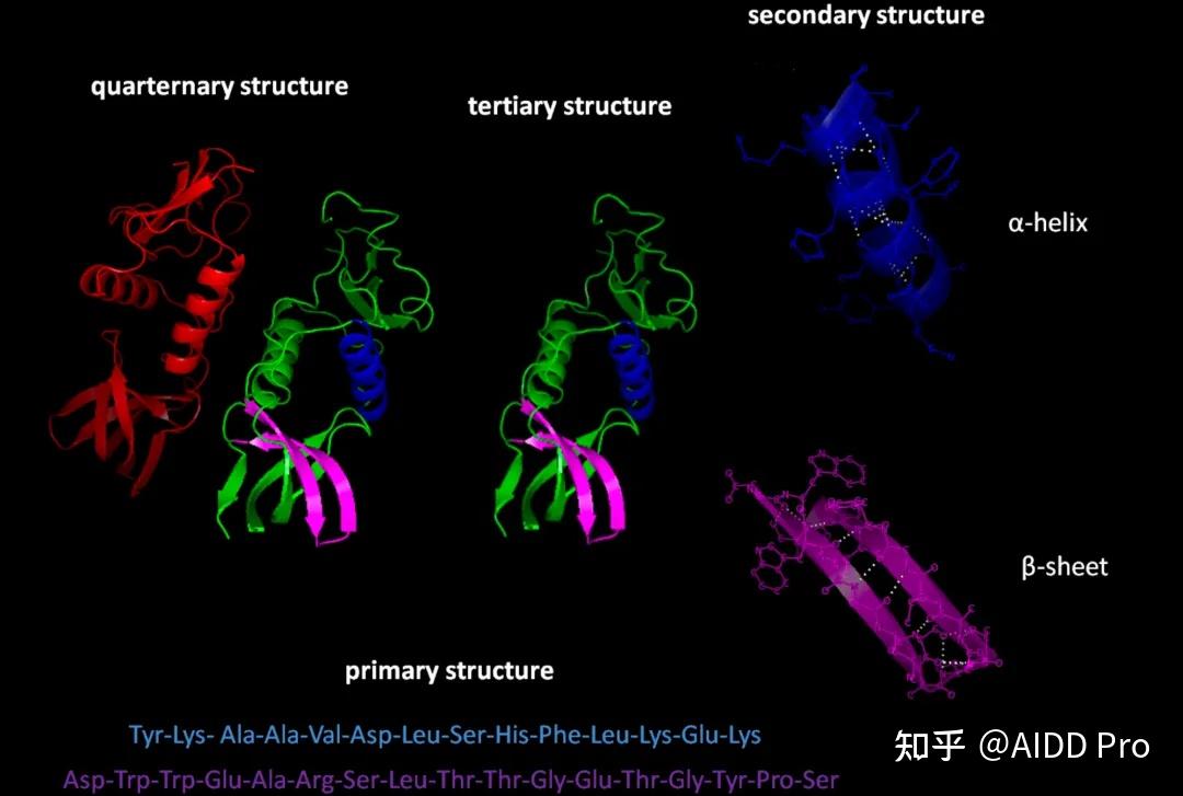 AlphaFold系列：一文读懂AF1-3核心技术 - 知乎