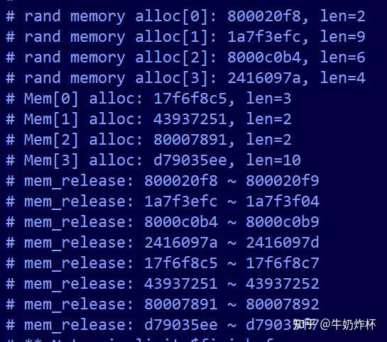 值得一看 | 验证中的Memory Allocation Manager - 知乎
