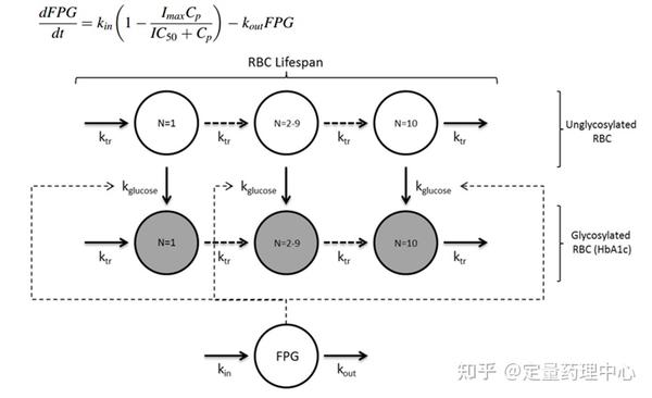 群体药动学/药效学（PopPK/PD）在指导2型糖尿病药物临床试验中给药剂量调整中的应用 - 知乎