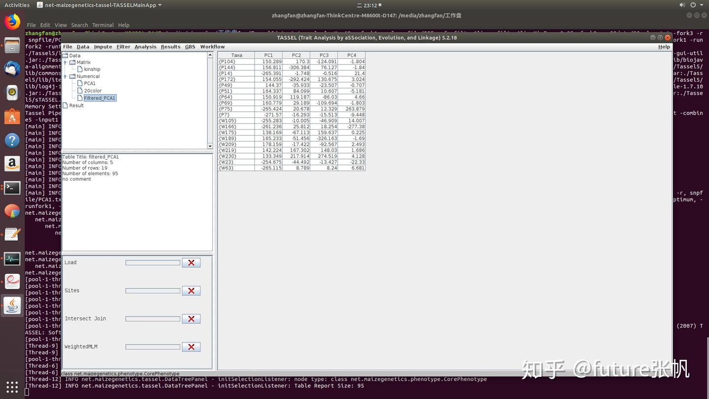 利用Tassel进行GWAS分析 - 知乎