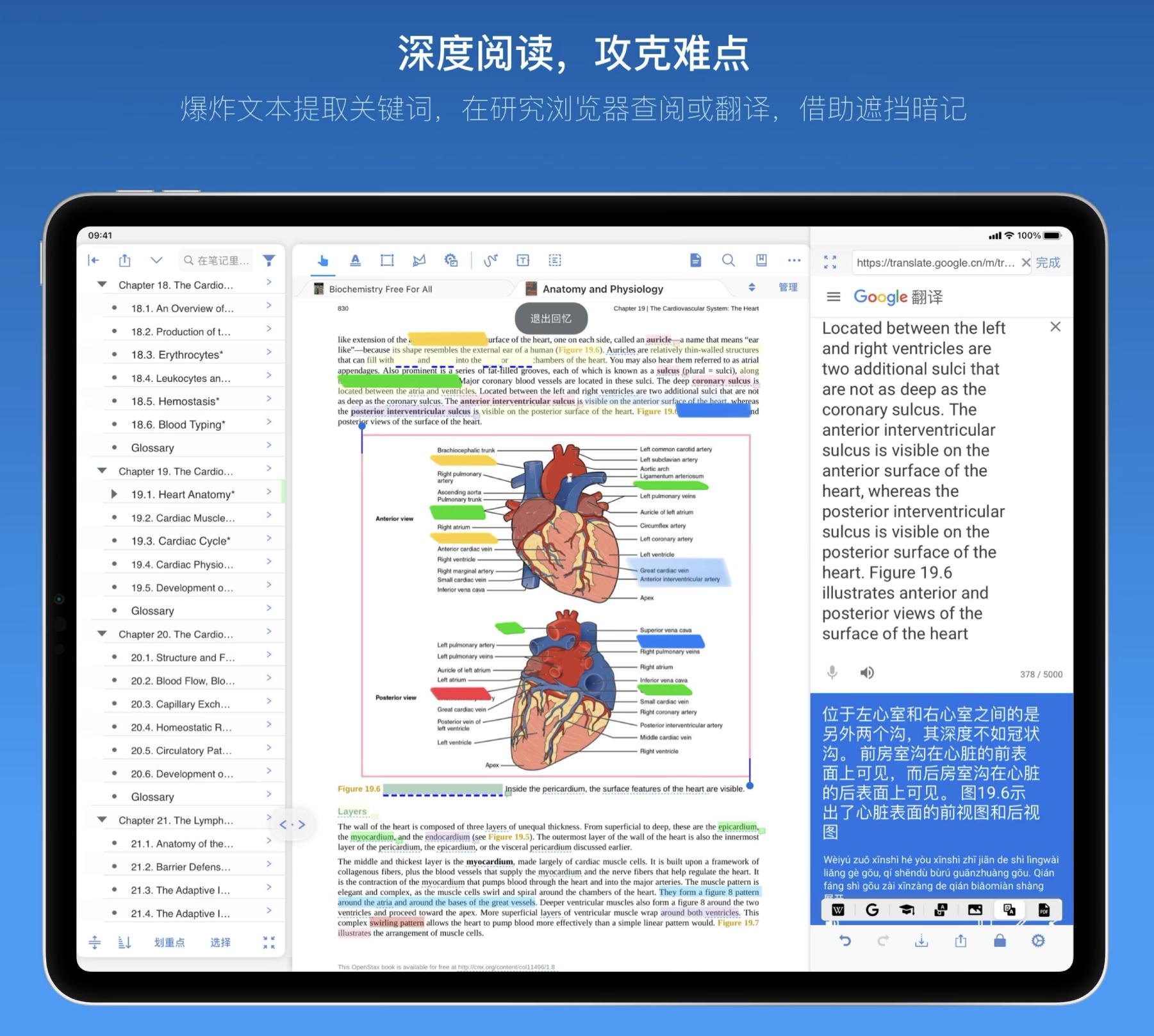 iPad深度阅读软件- MarginNote3测评 - 知乎