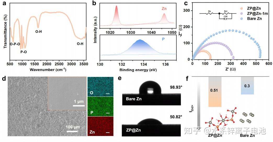 Angew：具有附加质子储存能力的亲锌电极界面稳定锌金属负极