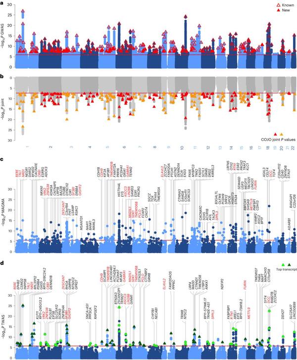 Nat Med：130多万人的GWAS分析，揭示抑郁症复杂的遗传基础 - 知乎