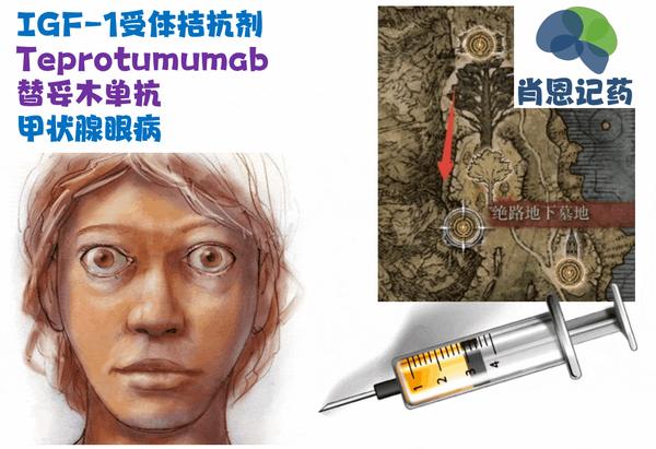 记住治疗甲状腺眼病生物药 | Teprotumumab 替妥木单抗 | 胰岛素样生长因子1受体（IGF-1R）拮抗剂 - 知乎