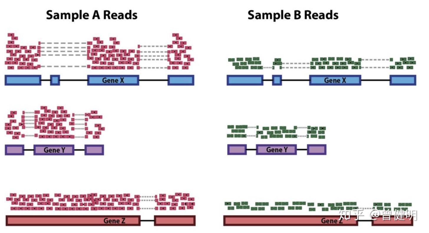 WGCNA的输入矩阵到底是什么格式 - 知乎