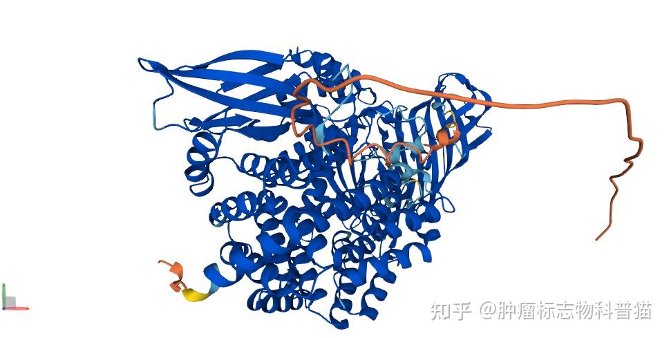 肿瘤标志物科普--PSA/fPSA 异常原因分析 - 知乎