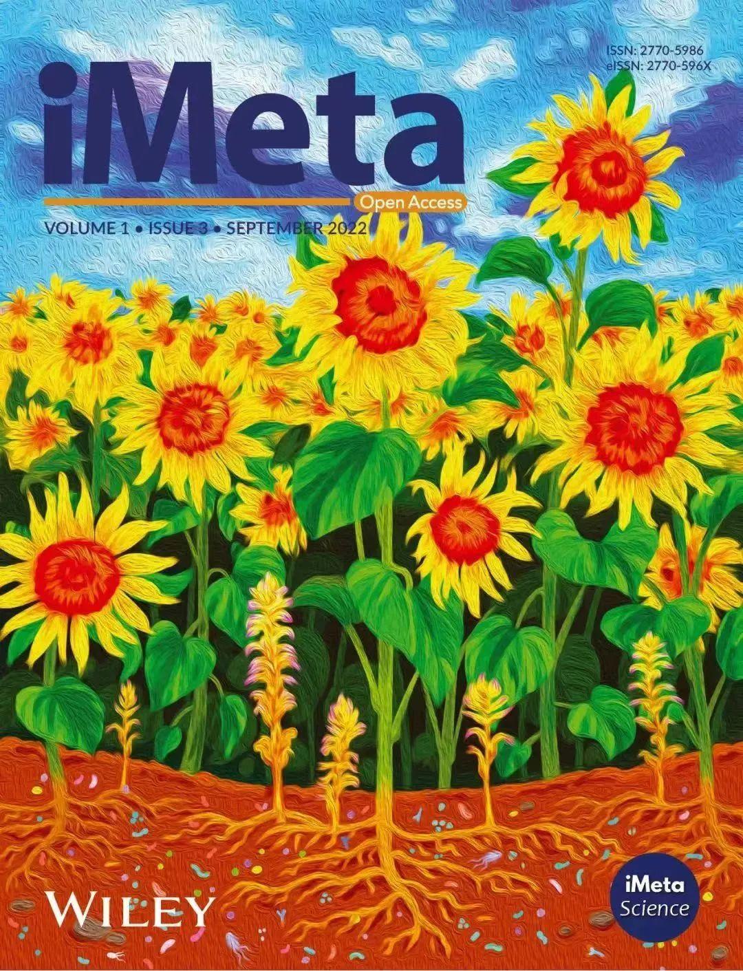 iMeta | 张彦琼/许海玉/周雪忠联合开发基于SoFDA病-证-方关联的本体表征、富集分析和相似度计算评价 - 知乎