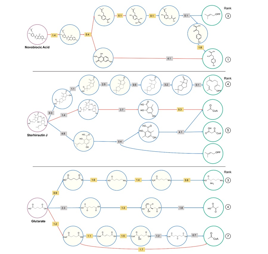 超算+AI为天然产物生物合成路线规划提供导航 - 知乎