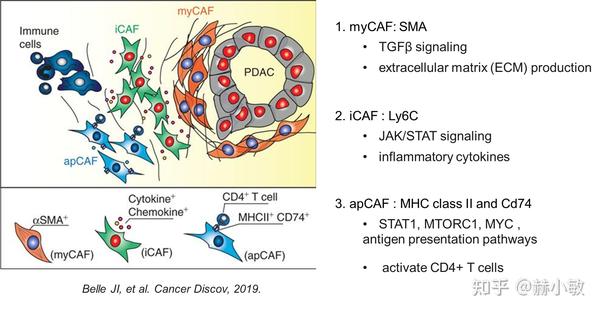 一期一会|2022年6-7月Cancer Cell 好文推荐 - 知乎