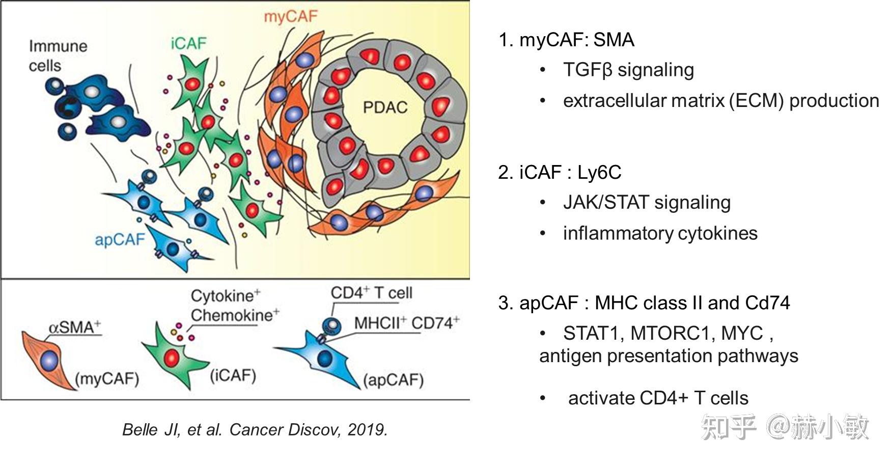 一期一会|2022年6-7月Cancer Cell 好文推荐 - 知乎