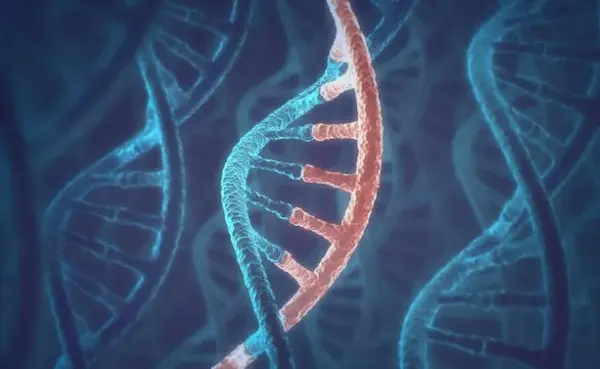 Nature深度综述：mRNA技术的开发策略与未来 - 知乎