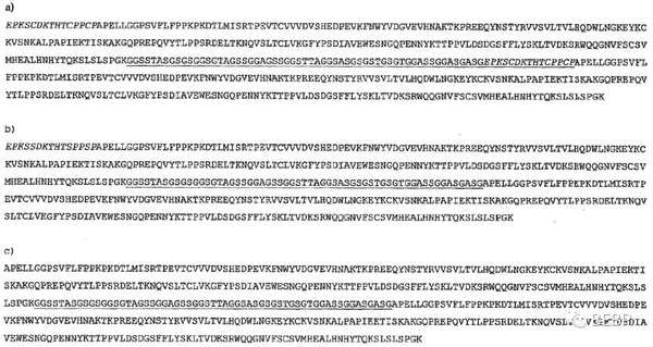 Single chain的魅力：从scFv到scIgG - 知乎